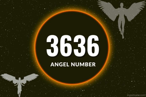 3636 Angel Number Meaning, Symbolism, Love, and Twin Flame | Investivate