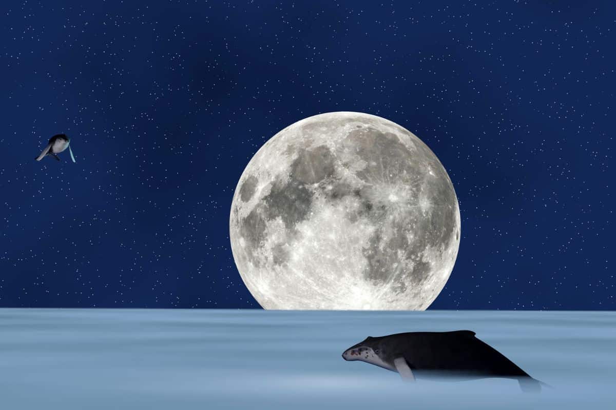 Dreaming of Whales: Spiritual Meaning and Symbolism | Investivate