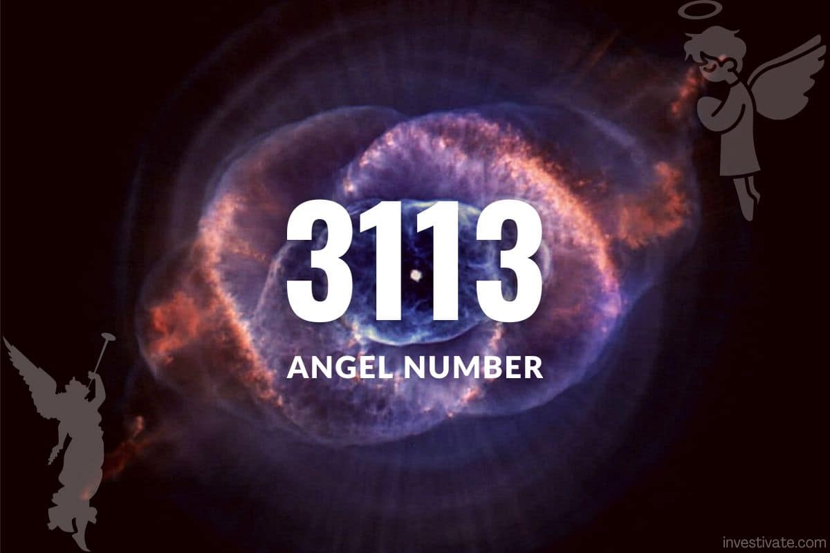 3113 Angel Number Meaning: Authentic Self Creation | Investivate