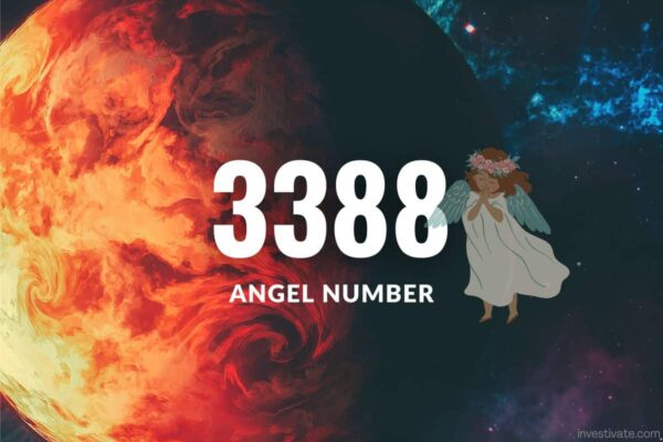 3388 Angel Number Secret Meaning: Creating Your Reality | Investivate
