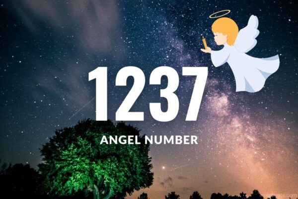1237 Angel Number Meaning: Unlocking Divine Guidance and Harmony ...